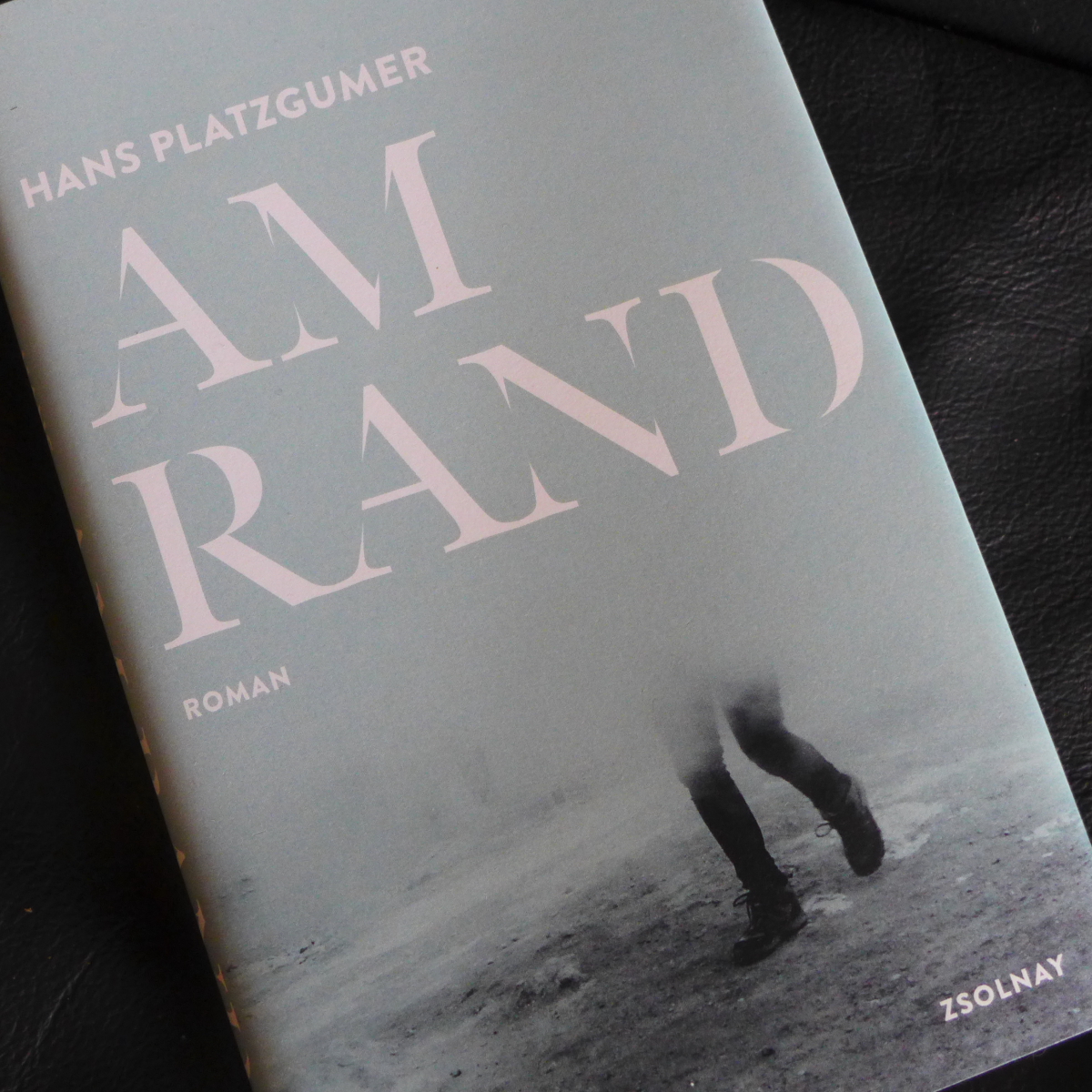 Hans Platzgumer: Am Rand | das graue sofa